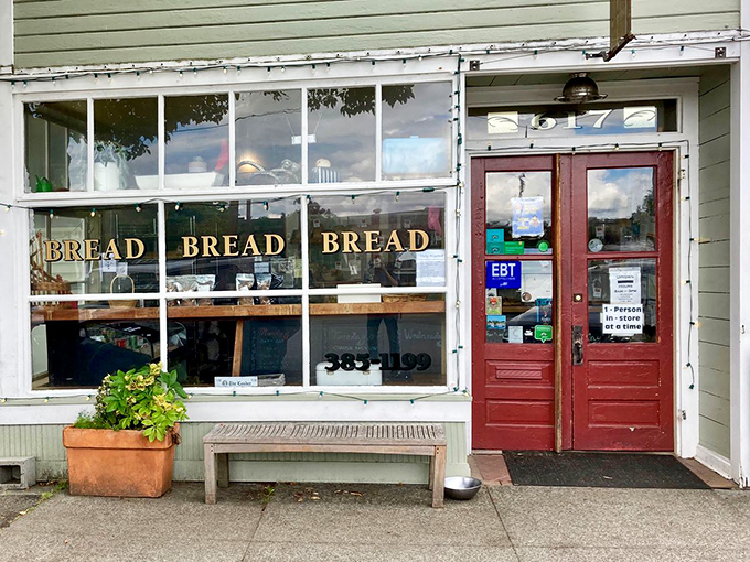 Pane d'Amore Bakery's straightforward window declaration—"BREAD BREAD BREAD"—tells you everything you need to know about their deliciously singular focus.