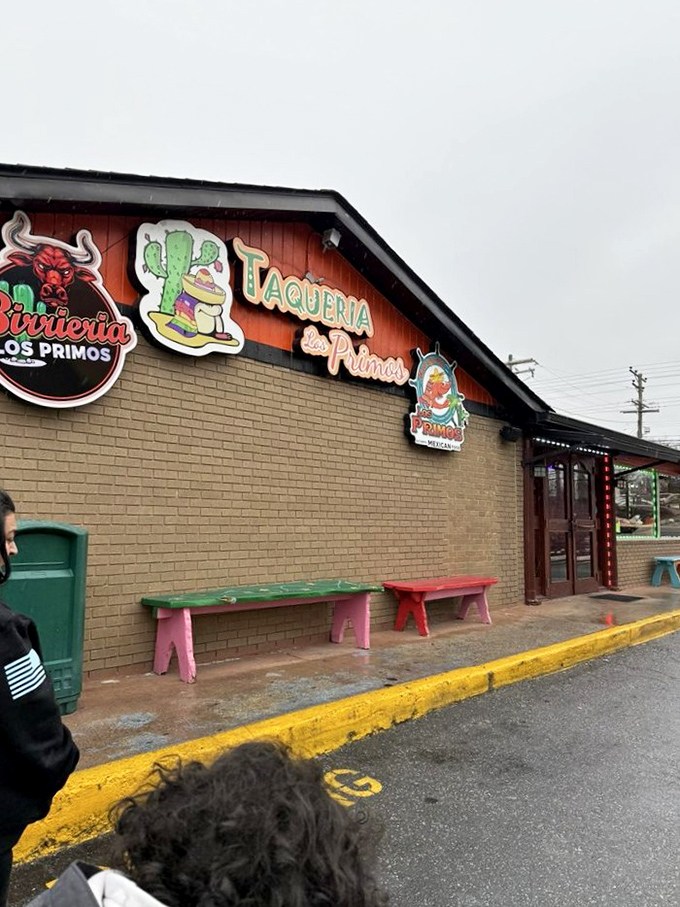 The ordering counter showcases chicharrones and fresh ingredients. Where taco dreams begin their journey to delicious reality.