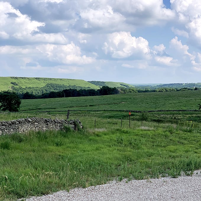 The Flint Hills roll away like waves in an ocean of grass. This isn't just scenery—it's one of North America's last intact tallgrass prairie ecosystems.