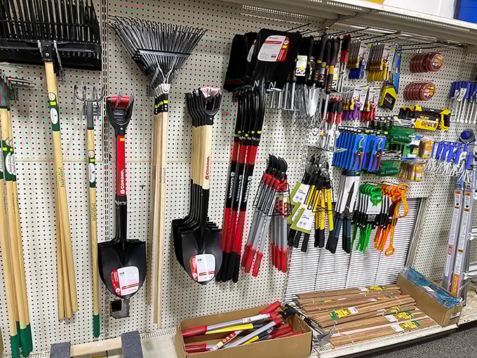 Tool time at Tom's – where weekend warriors and professional handyfolk alike find exactly what they need for projects big and small.