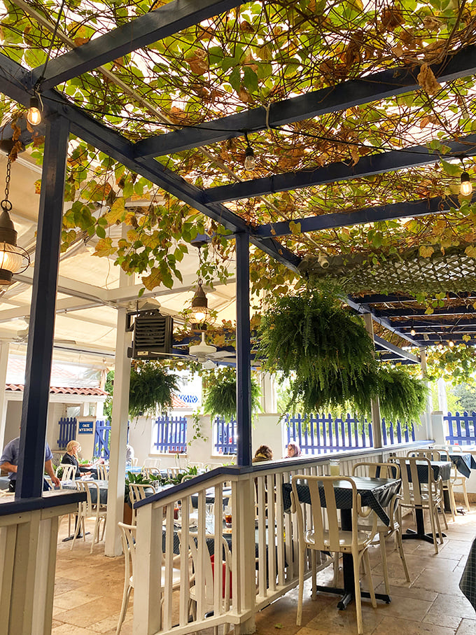 Dining under a canopy of grape leaves and hanging plants—the closest thing to a Greek taverna you'll find without needing your passport.