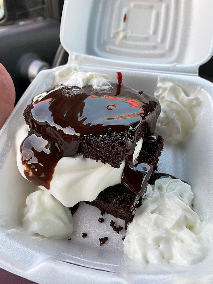Hot fudge cascading over chocolate cake and ice cream—proof that happiness can indeed be purchased in a styrofoam container.