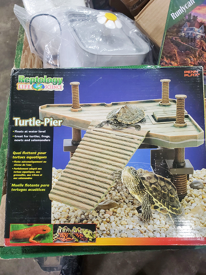 Reptile real estate at discount prices! This turtle pier offers waterfront property that would make even luxury home buyers green with envy.