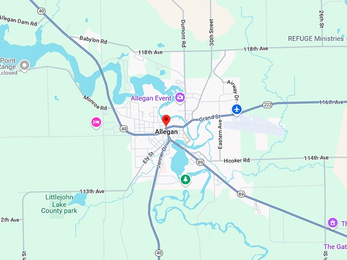 16. allegan map