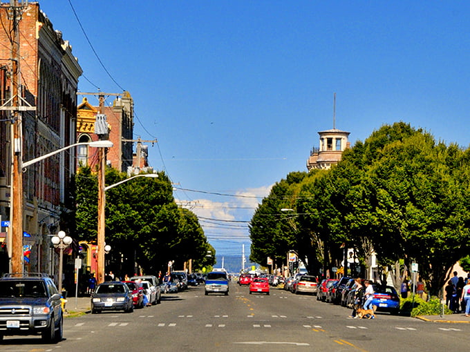 Port Townsend’s tree-lined streets feel like a time capsule – classic architecture framed by lush green canopies.