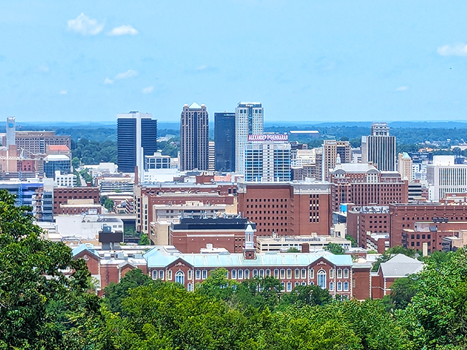 A bird's-eye view of Birmingham reveals a city that's both business hub and cultural treasure, surrounded by lush Alabama greenery.