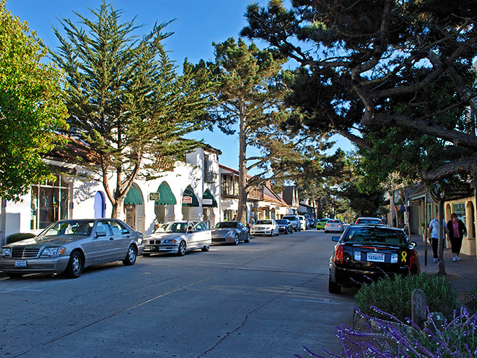 Tree-lined streets and quaint storefronts invite leisurely strolls where bumping into neighbors is practically guaranteed. No rushing allowed here!