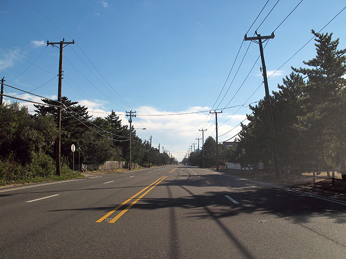 Harvey Cedars: Pine trees frame this quiet coastal road — nature's perfect gateway to beach tranquility.