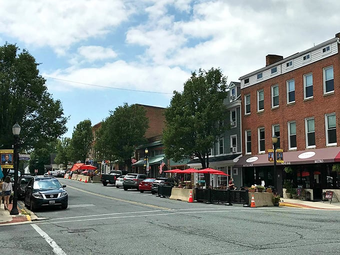 Downtown Havre de Grace offers that perfect small-town vibe where shopkeepers remember your name and your coffee order.