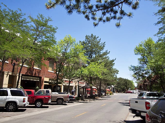 Tree-lined streets and classic storefronts give Twin Falls that perfect small-town feel where your Social Security check might actually cover the rent!