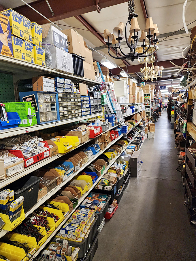 Chandeliers dangling above hardware bins—where else can you find elegant lighting fixtures hovering over nuts and bolts? Only at Surplus City.