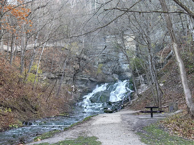 Mother Nature's masterpiece at Dunning's Spring. The kind of waterfall that makes you forget your smartphone exists and remember why postcards were invented.