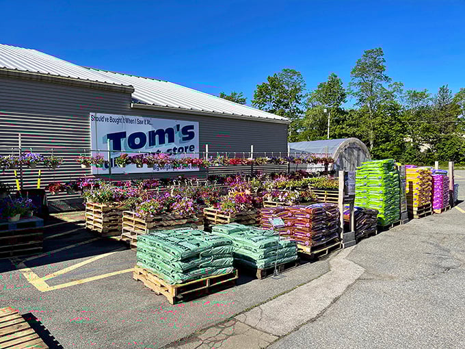 Blue skies and bargains – Tom's welcomes shoppers with a no-frills approach that says "we saved the fancy stuff for the prices."