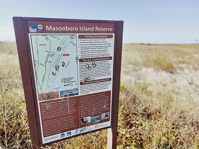 Nature's instruction manual stands guard. This informative sign might be the only hint of human intervention you'll find on this gloriously undeveloped island.
