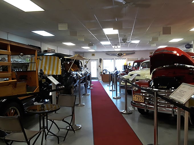 Walking the red carpet here means rubbing shoulders with automotive royalty. The velvet ropes aren't keeping you out—they're keeping history in.