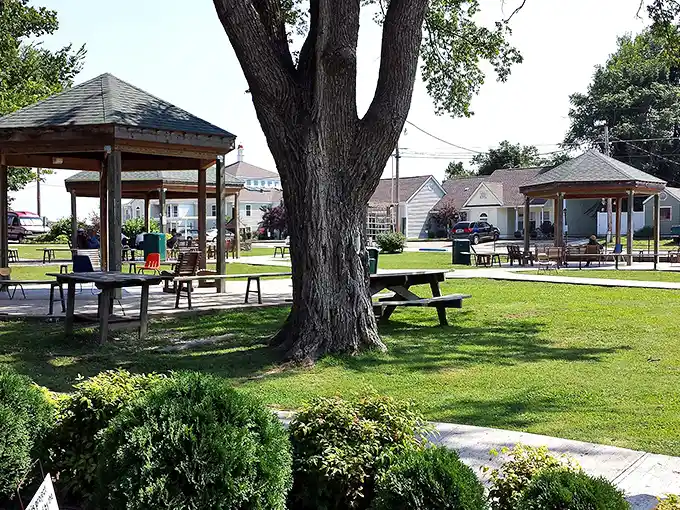 Nature's living room – complete with shade trees and picnic tables. The town square isn't just a place; it's an invitation to linger.