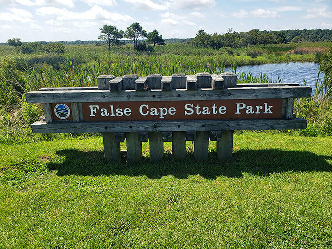 The welcoming committee at False Cape doesn't wear name tags—just weathered wood and a promise of wilderness beyond the sign.