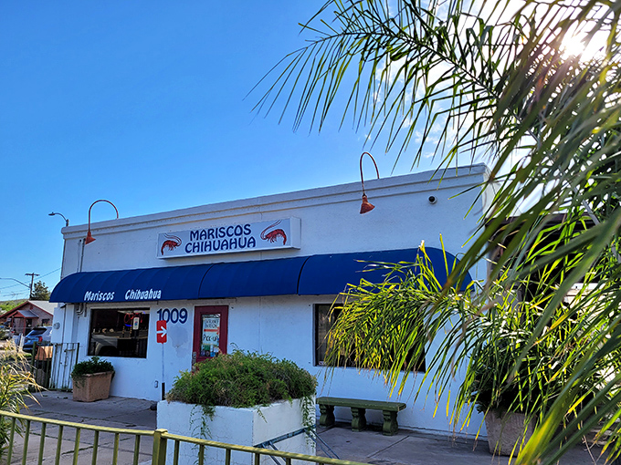 Mariscos Chihuahua proves the best seafood spots often hide in plain sight. That blue awning is like a beacon for ceviche lovers who know where the real magic happens.