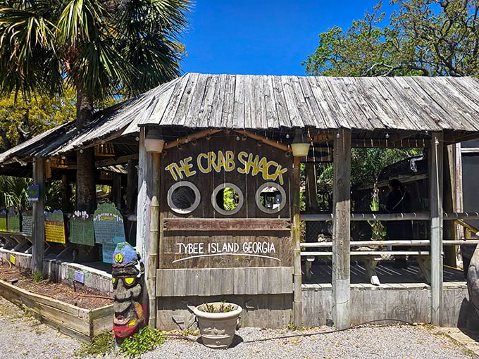 The Crab Shack's weathered wooden charm feels like stumbling into the best-kept secret on Tybee Island.
