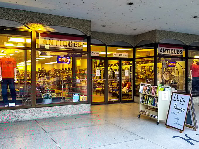 "Dusty Things" isn't just a name—it's a promise of adventure where forgotten treasures wait for their second act.