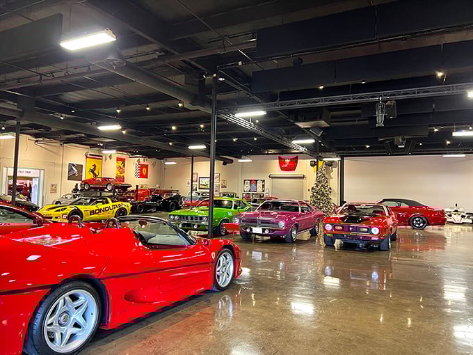 Where dreams and horsepower collide – a kaleidoscope of automotive history that makes your childhood Hot Wheels collection look like amateur hour.