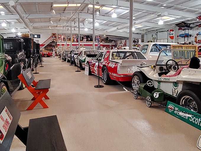 Row after gleaming row of racing history, where every car has a story that could fill a book—or at least a really entertaining podcast.