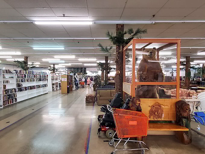 A forest of pine columns creates natural divisions between departments, with books to the left and furniture ahead. It's organized chaos in the best possible way.