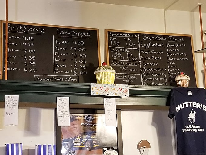This isn't just a menu; it's a roadmap to happiness. Hand-dipped, soft serve, snowballs—decisions this important shouldn't be rushed.