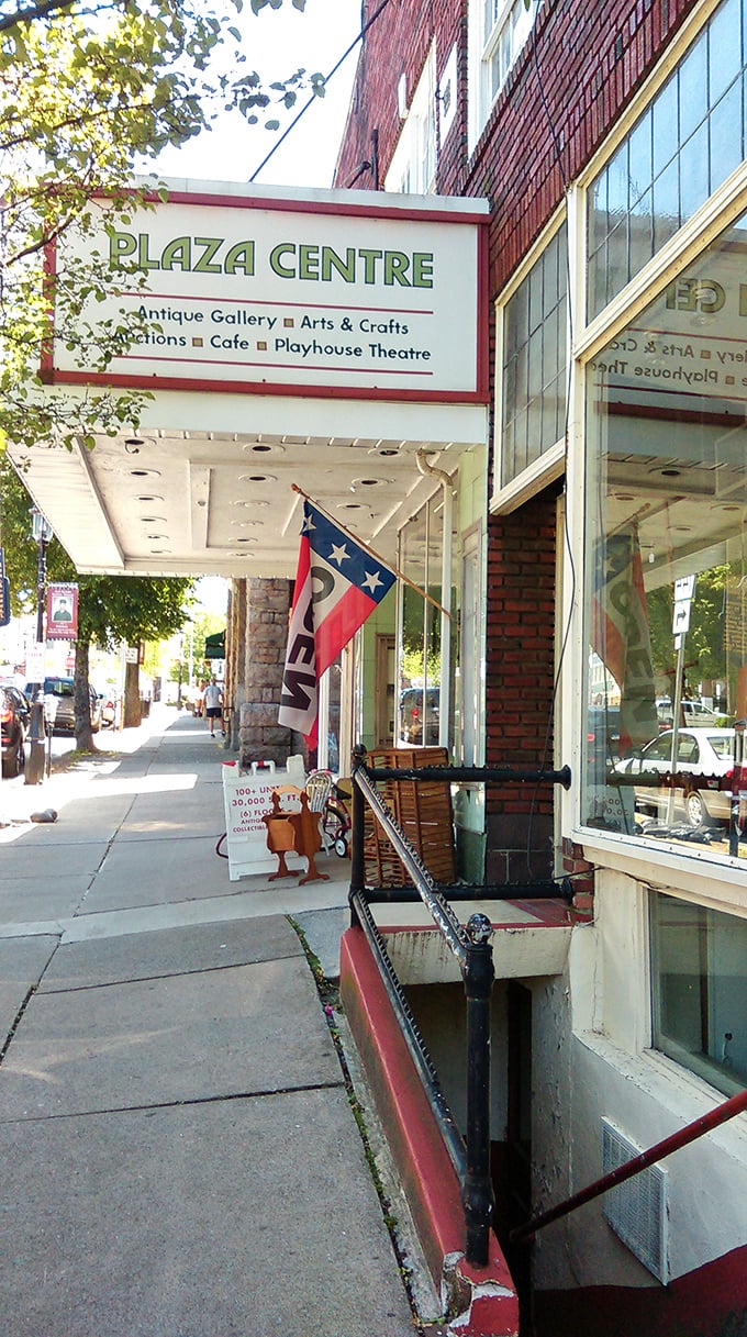 The Plaza Centre isn't just a building—it's a treasure map in architectural form, guiding you to antiques, arts, and that essential antiquing fuel: coffee.