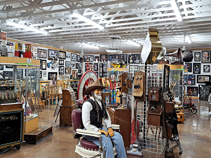 Not just cars—this museum houses a treasure trove of Americana. The vintage barber chair and antique telephones transport you to another era entirely.