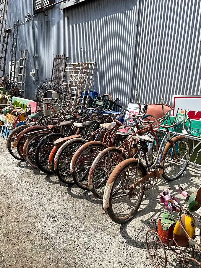 A rusty battalion of vintage bicycles stands at attention, their faded paint and worn leather seats whispering tales of neighborhood paper routes and summer adventures.