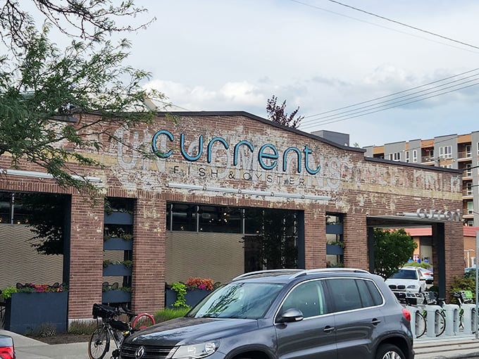 Current Fish & Oyster's weathered brick exterior whispers of history while promising fresh catches. Old building, fresh fish—perfect combination!