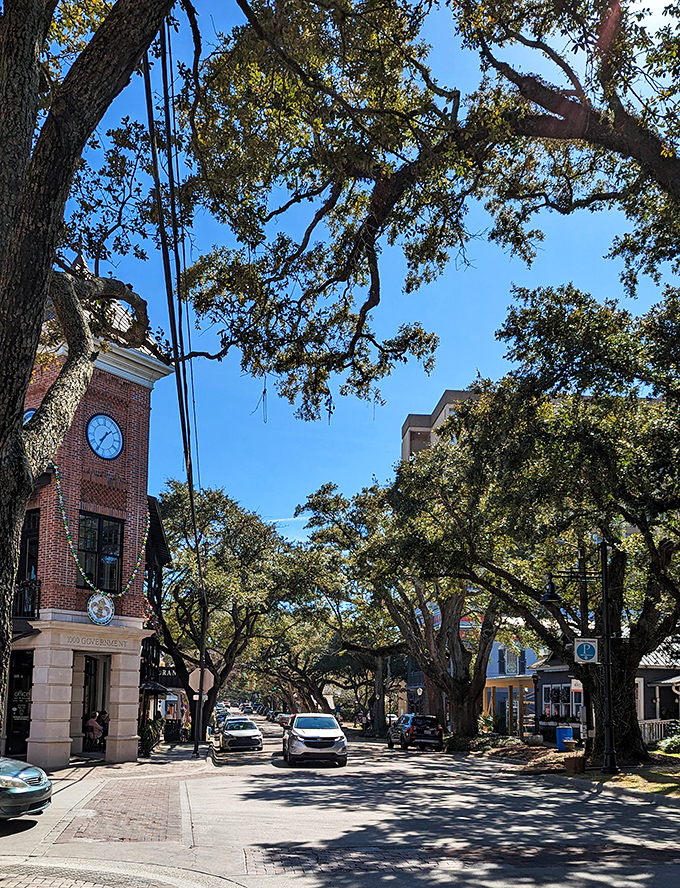 The classic courthouse in Ocean Springs looks like it was plucked straight from a movie set about idyllic small-town America.
