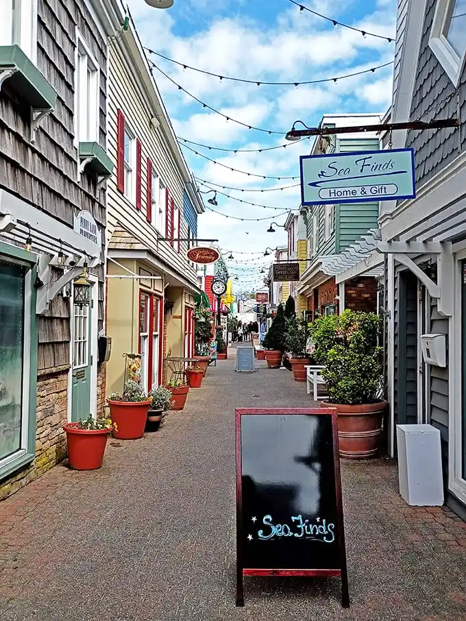 Rehoboth's colorful shopping district feels like a seaside treasure hunt where bargains hide between boutiques and cafés.