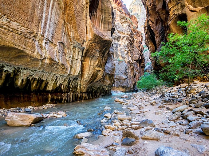The Narrows at Zion National Park—where hiking through water makes you feel like you're in nature's cathedral.