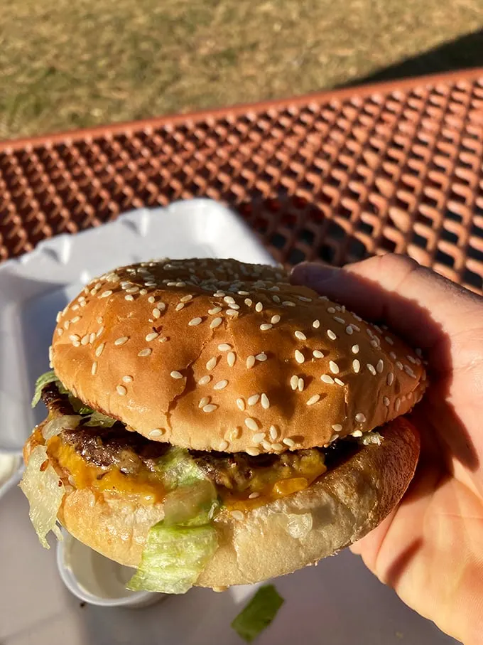Behold the humble cheeseburger in its natural habitat—sesame-speckled bun, melty cheese, and a patty that means business.