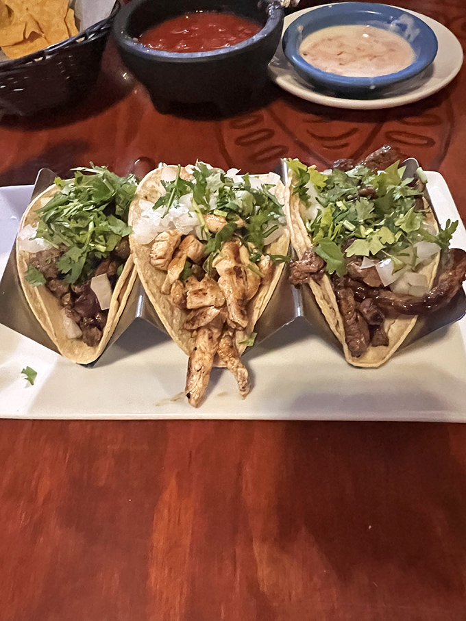 Three amigos of the taco world—steak, chicken, and carnitas—dressed traditionally with cilantro and onion, ready for their salsa bath.