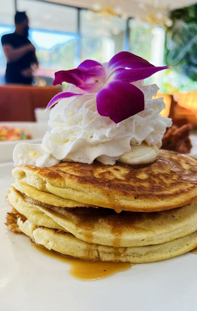 These pancakes aren't just breakfast—they're an edible pillow of joy topped with whipped cream and a flower that's dressed better than most wedding guests.
