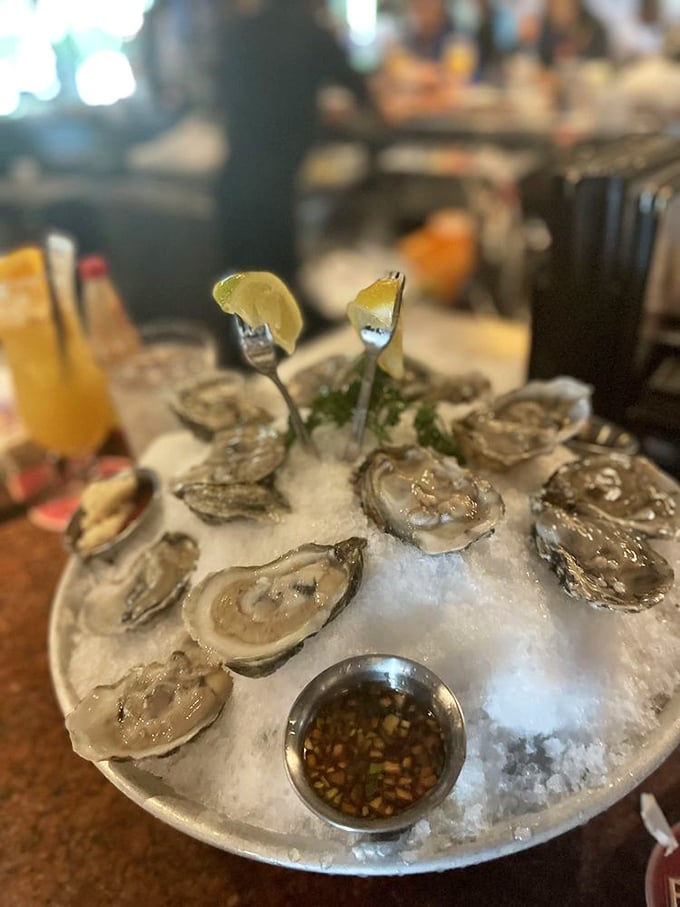 These glistening oysters on ice aren't just appetizers—they're an experience. Fresh, briny treasures waiting to be discovered with a squeeze of lemon.