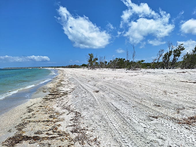 Mother Nature's tire tracks mark one of Florida's last wild beaches. No beach chair rental guys here—just you, the sand, and endless possibilities.
