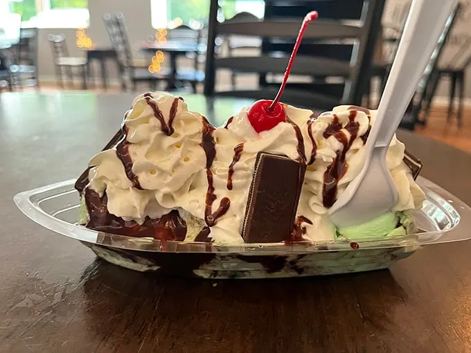 Not all sundaes wear capes, but this one deserves superhero status with its mountain of whipped cream, hot fudge rivers, and that perfect cherry sentinel.