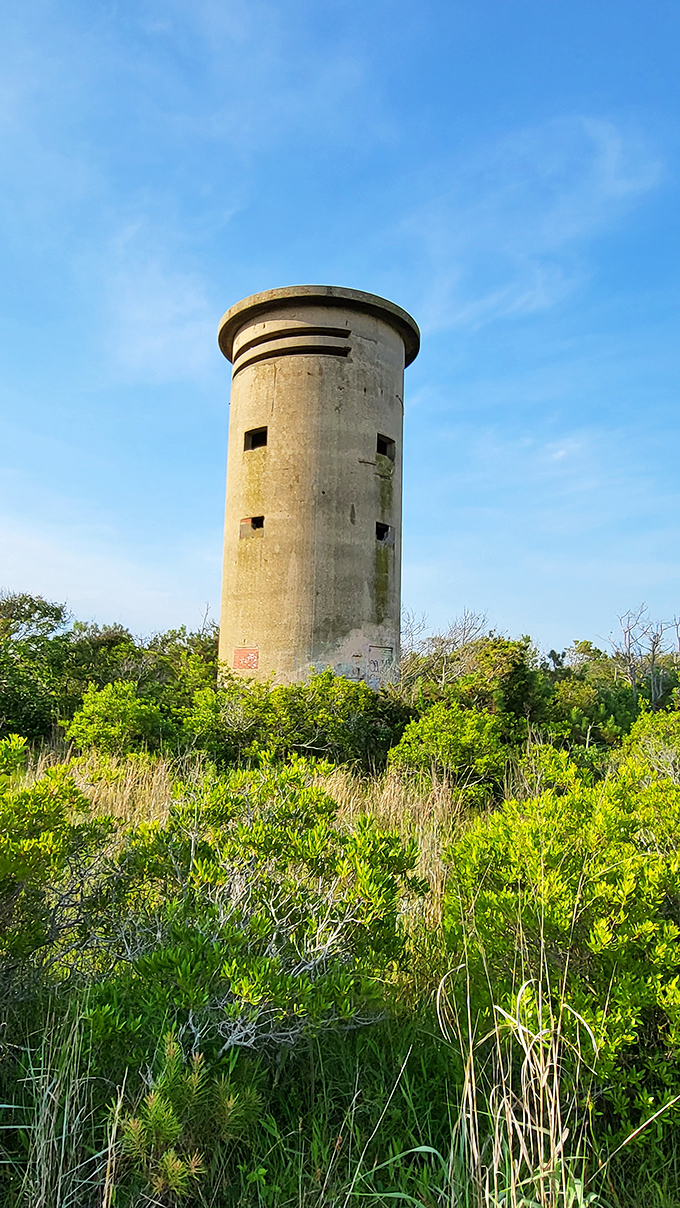 Standing sentinel over coastal wilderness, this WWII-era tower reminds us of history while we make new memories. Delaware's own time capsule with a view.