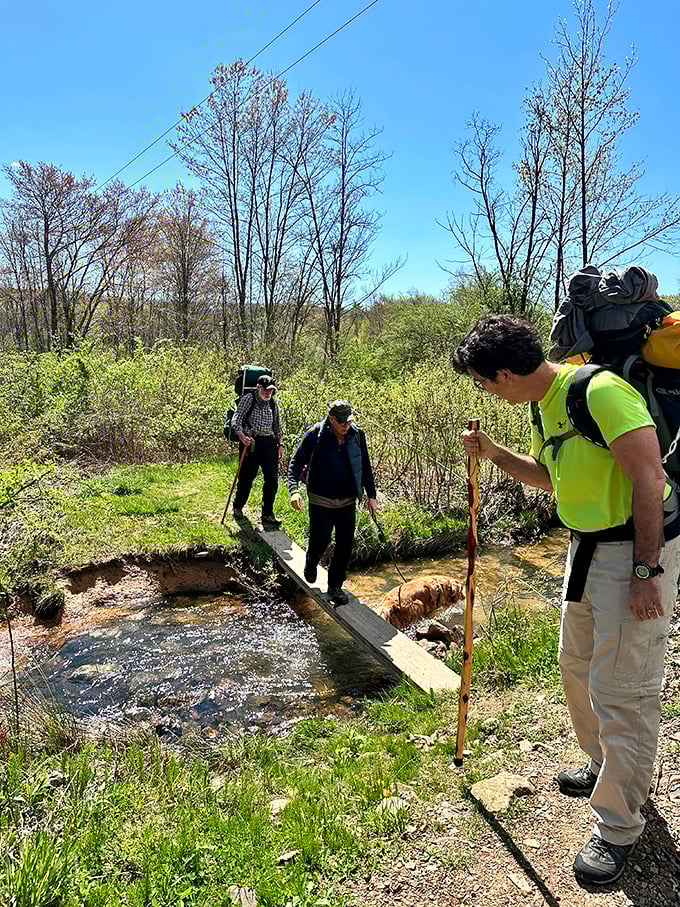 Adventure seekers navigate a humble stream crossing, proving that sometimes the best outdoor moments happen when you're just trying not to get your socks wet.