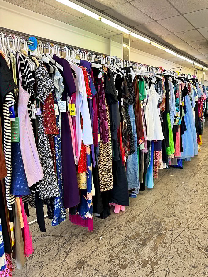 Fashion finds hang in colorful rows, a kaleidoscope of potential style upgrades waiting to transform your wardrobe without transforming your bank account.