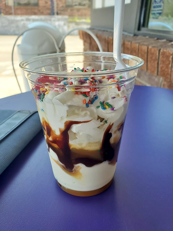 Layers of vanilla soft serve, chocolate sauce, and rainbow sprinkles—proof that sometimes the best architecture is edible.