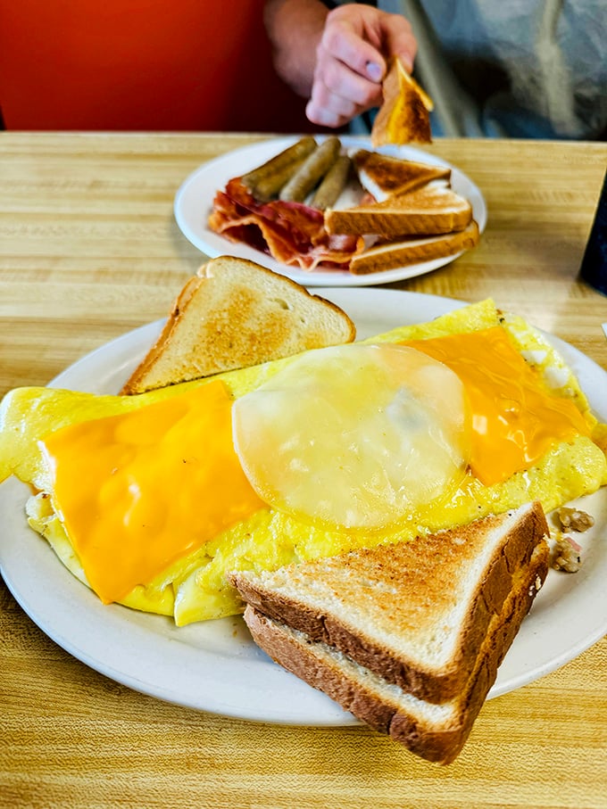 Behold the cheese omelet in its natural habitat – golden, fluffy, and draped with melted cheese that stretches like it's auditioning for a commercial.
