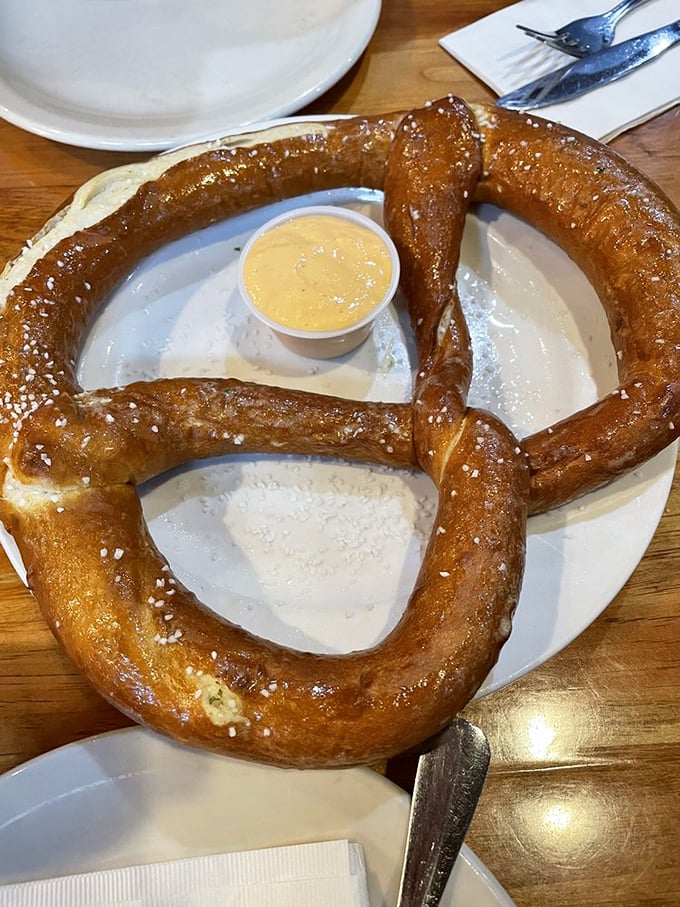 The star of the show arrives: a pretzel with the perfect salt-to-dough ratio and a mustard dip that means business. This isn't mall food—it's edible art.