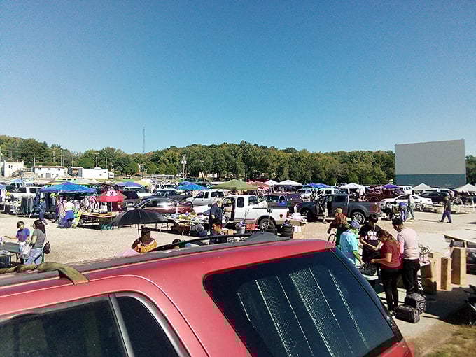 Boulevard Swap 'n' Shop: where Kansas City's early birds catch everything from vintage vinyl to that thingamajig you didn't know you needed!