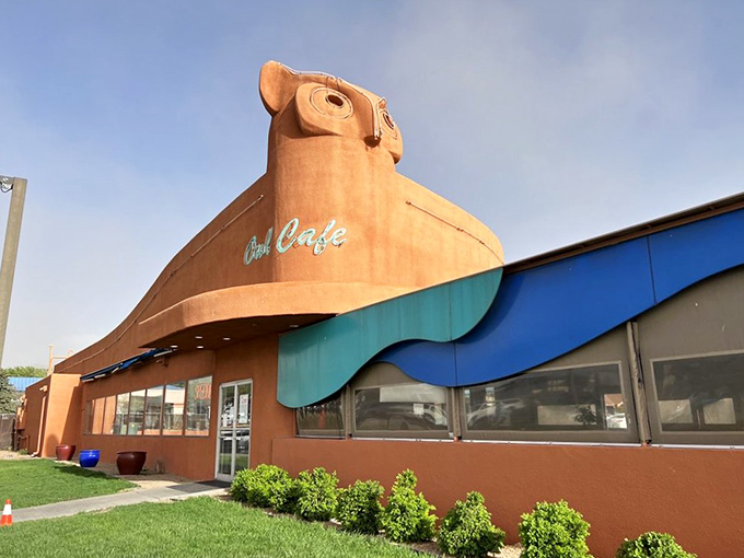 Not all superheroes wear capes – some are owl-shaped buildings serving green chile cheeseburgers that change lives.