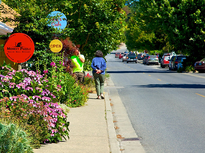 Wandering Eastsound’s village streets is like finding a tucked-away storybook town – colorful, creative, and delightfully laid-back.